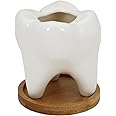 Amazon.com: Gemseek Cute Tooth Succulent Planter Pot with Drainage Tray ...