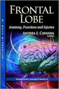 Frontal Lobe: Anatomy, Functions and Injuries (Neuroscience Research ...