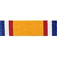Amazon.com: MEDALS OF AMERICA EST. 1976 Honorable Discharge ...