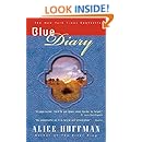 Blue Diary - Kindle edition by Alice Hoffman. Literature & Fiction ...