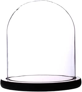 Amazon.com: Artlass Glass Cloche Bell Jar Display Dome with Black ...