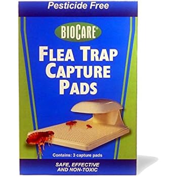 Amazon.com : BioCare Replacement Flea Trap Capture Pads for Use with ...