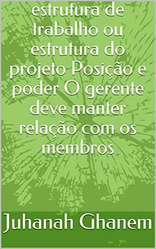 estrutura de trabalho ou estrutura do projeto Posição e poder O gerente ...