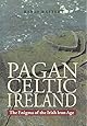 Pagan Celtic Ireland: The Enigma of the Irish Iron Age: Barry Raftery ...