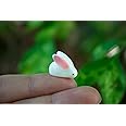 Amazon.com: Mini Terrarium Rabbit, Dollhouse Miniature Tiny White ...