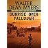 Amazon.com: Fallen Angels (9780545055765): Walter Dean Myers: Books