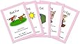 Pink and Blue Phonics Reading Cards: Amazon.co.uk: Toys & Games