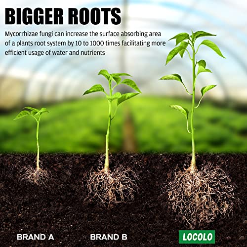 Mycorrhizal Fungi Mycorrhizal Inoculant for Plants All Purpose ...