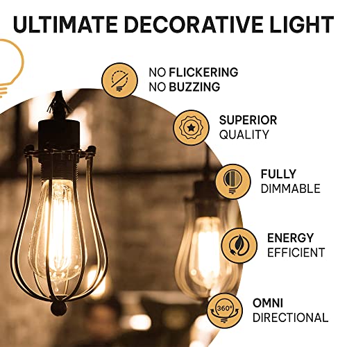 Vintage Incandescent Edison Light Bulbs 60W (6 Pack)- E26/E27 Base 2100K Dimmable Decorative ...