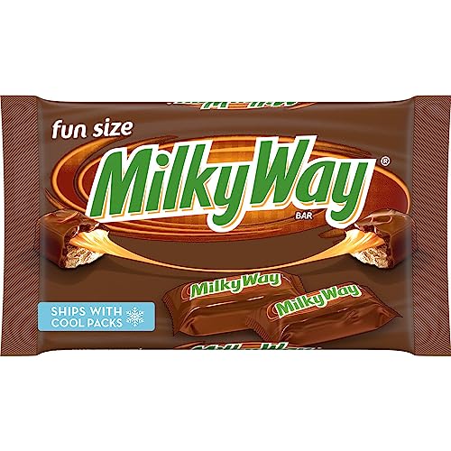 MILKY WAY Fun Size Milk Chocolate Halloween Candy Bars - 10.65 oz Bag ...