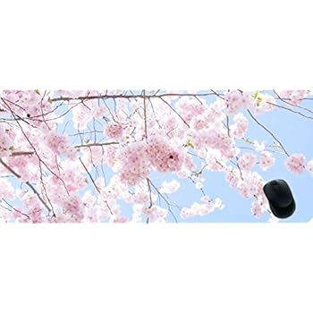 Amazon.com : Blooming Cherry Blossoms Mouse Pad, Cherry Flower with ...