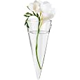 Amazon.com: Clear Circular Cone Glass Wall Hanging Vase Flower Vase ...
