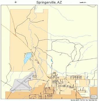 Amazon.com: Large Street & Road Map of Springerville, Arizona AZ ...