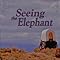 Seeing the Elephant: Banicki, Leah: 9781461144168: Amazon.com: Books