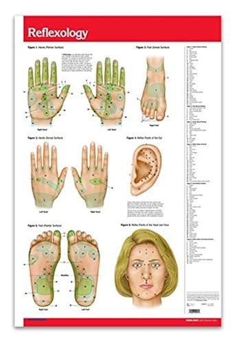 Permacharts Acupuncture Points Chart Guide/Reflexology Chart 24" x 36 ...