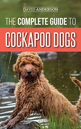 The Complete Guide to Cockapoo Dogs: Everything You Need to Know to ...