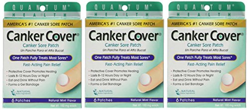 Buy Quantum / Dentek Canker Cover Oral Canker Sore Patch, Mint Flavor ...