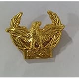 Amazon.com: Greater Glory Goods Ancient Roman fasces/Italian Fascist ...