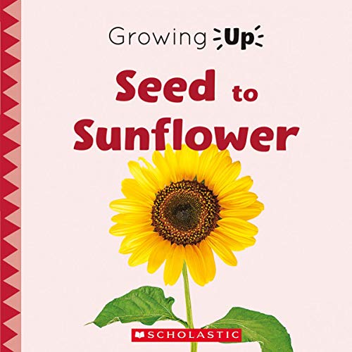 Amazon.com: Seed to Sunflower (Growing Up) (Library Edition) (Explore ...