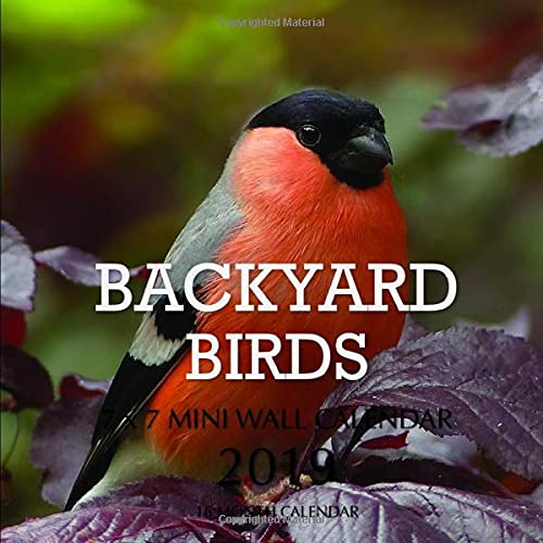 Backyard Birds 7 x 7 Mini Wall Calendar 2019: 16 Month Calendar: Landon ...