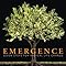 Emergence: Seven Steps for Radical Life Change: Rydall, Derek ...
