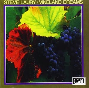 Steve Laury - Vineland Dreams - Amazon.com Music