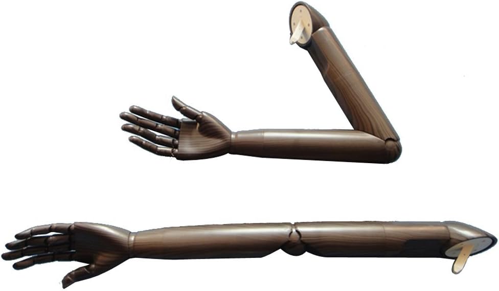 Amazon.com: Kukin Flexible Joints of Mannequin arms and Hands (Male arm ...