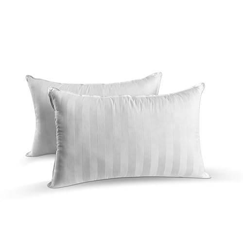 Silentnight Pure Cotton Pillow Pair, White, 74 x 48 x 8 cm: Amazon.co ...