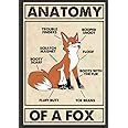 Amazon.com: Fox Knowledge Metal Tin Sign Anatomy Of A Fox Retro Poster ...