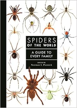 The Best Books About Spiders Available Today - A-Z Animals