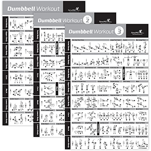 NewMe Fitness Dumbbell 20x30 Workout Exercise Poster - Strength ...