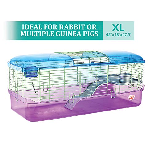 Kaytee Extra Large Guinea Pig Cage | Dwarf Rabbit Cage | Deluxe Small ...