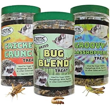 Amazon.com : Exotic Nutrition Dried Insect 3 Pack - Crickets ...