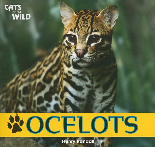 Ocelots (Cats of the Wild (Paperback)): Randall, Henry: 9781448826230 ...