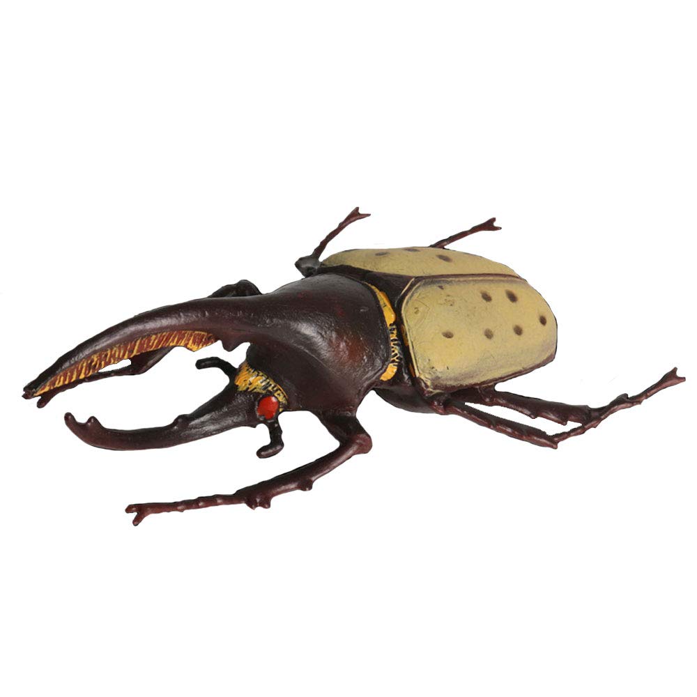 Mua FLORMOON Realistic Animal Figures Hercules Beetle Figurines Insect ...