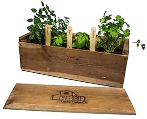 Amazon.com : Indoor Herb Garden Planter Box Kit with Basil, Cilantro ...