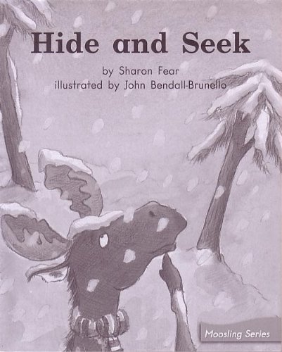 Hide and Seek; Leveled Literacy Intervention My Take-Home 6 Pak Books ...