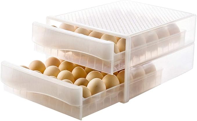 Amazon.com: 2-Layer 60 Grid Covered Eggs Storage Container for ...