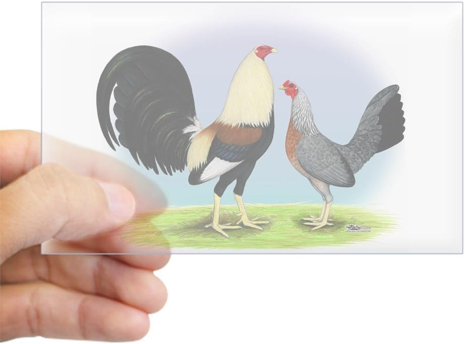 Amazon.com: CafePress Grey Gamefowl Rectangle Sticker Rectangle Bumper ...