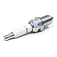 Amazon.com: OEM Champion Spark Plug for Briggs & Stratton 5066, 5066B ...