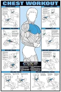 Amazon.com: Chest Workout 24" X 36" Laminated Chart : Sports & Outdoors