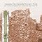 MAD MULLAH OF SOMALILAND: Amazon.co.uk: Jardine, Douglas: 9781781519820 ...