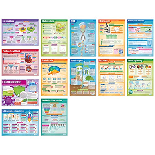 Biology Posters - Set of 13 | Science Posters | Laminated Gloss Paper ...