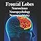 Frontal Lobes: Neuroscience, Neuropsychology, Neuropsychiatry ...
