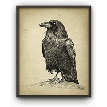 Amazon.com: Krahe Rudi Hurzlmeier Black Raven Crow In Boots Fantasy Art ...