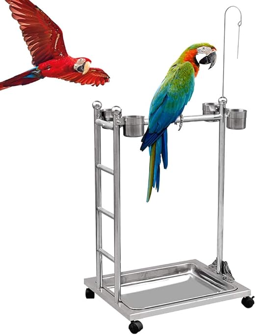 Rungao Stainless Steel Parrot Stand Bird Platform Playground Parrot ...