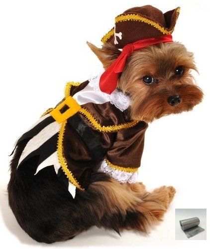 Pirate Dog Halloween Costumes - Best Costumes for Halloween