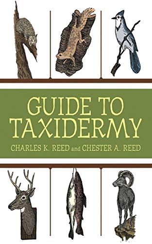 Amazon.com: Guide to Taxidermy: 9781616085391: Reed, Charles K., Reed ...