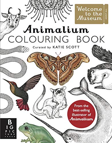 Animalium Colouring Book (Welcome To The Museum): Katie Scott ...
