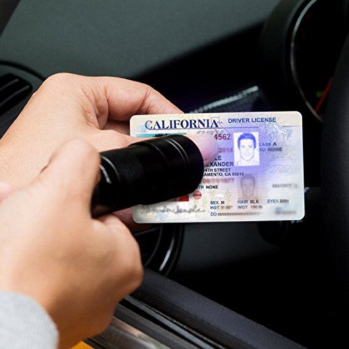 GridLite UV Blacklight Flashlight - Pet Urine Detector - Stain Detector ...